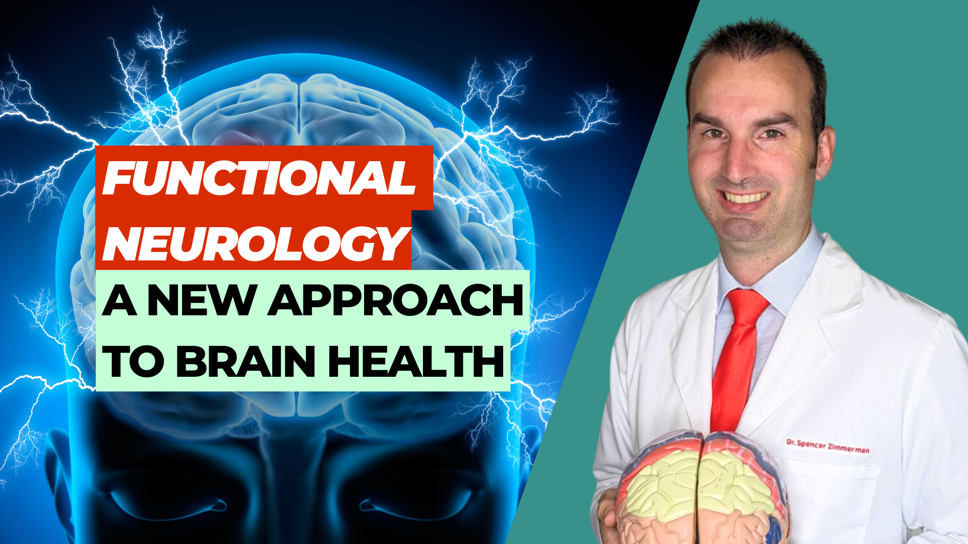Functional Neurology Tampa: The Future of Brain Health and Rehabilitation